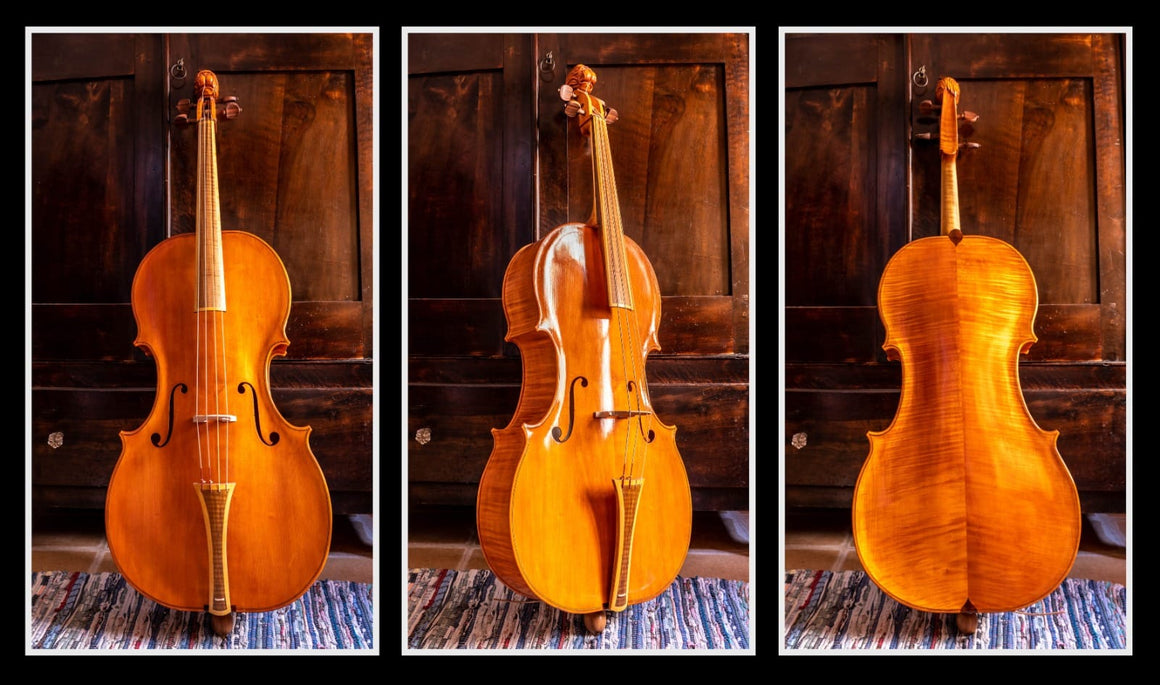 Marco Salerno Luthier