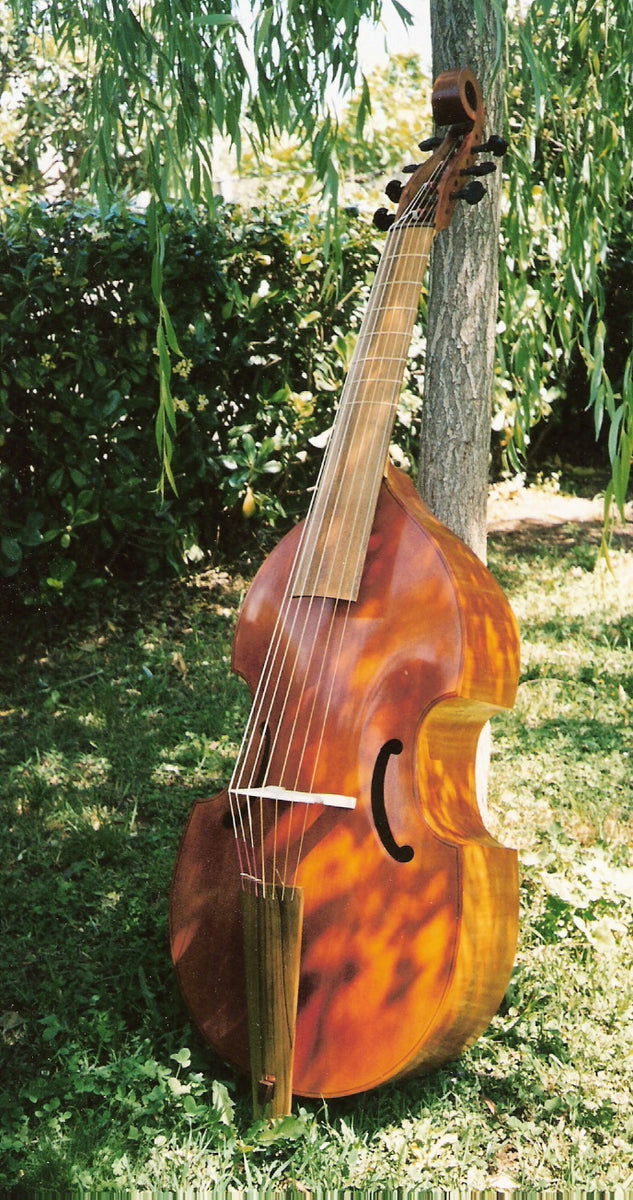 Baroque Bass Viol Collichon for Beginners – Marco Salerno Luthier