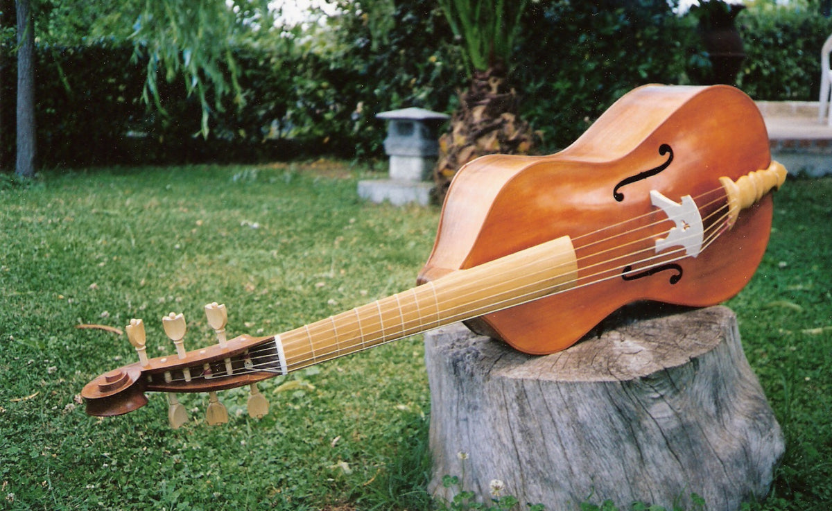 Viola da gamba bassa rinascimentale Gasparo da Salò – Marco Salerno Luthier