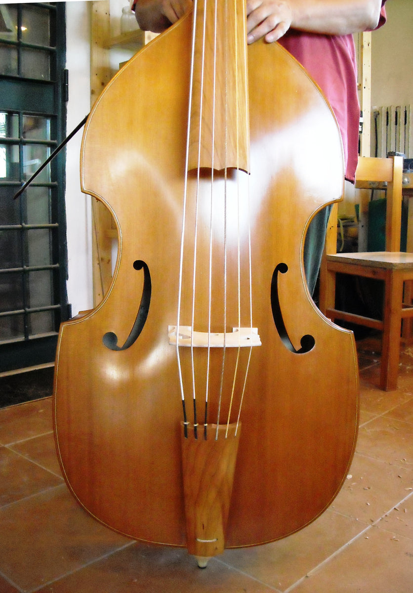 D Violone 96cm – Marco Salerno Luthier