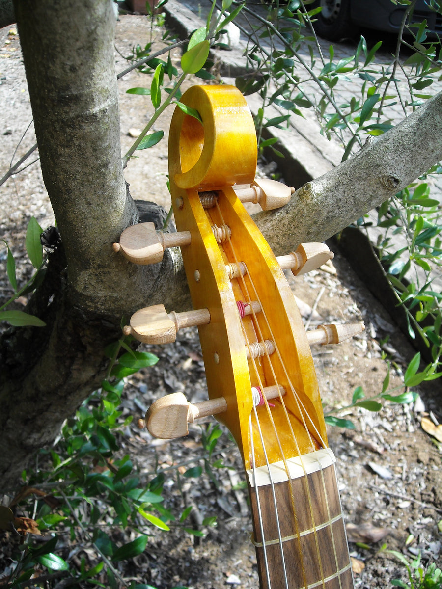 Renaissance Tenor Viol P.Zenatto for Beginners – Marco Salerno Luthier