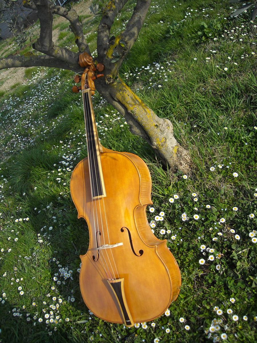 Baroque Cello Amati – Marco Salerno Luthier