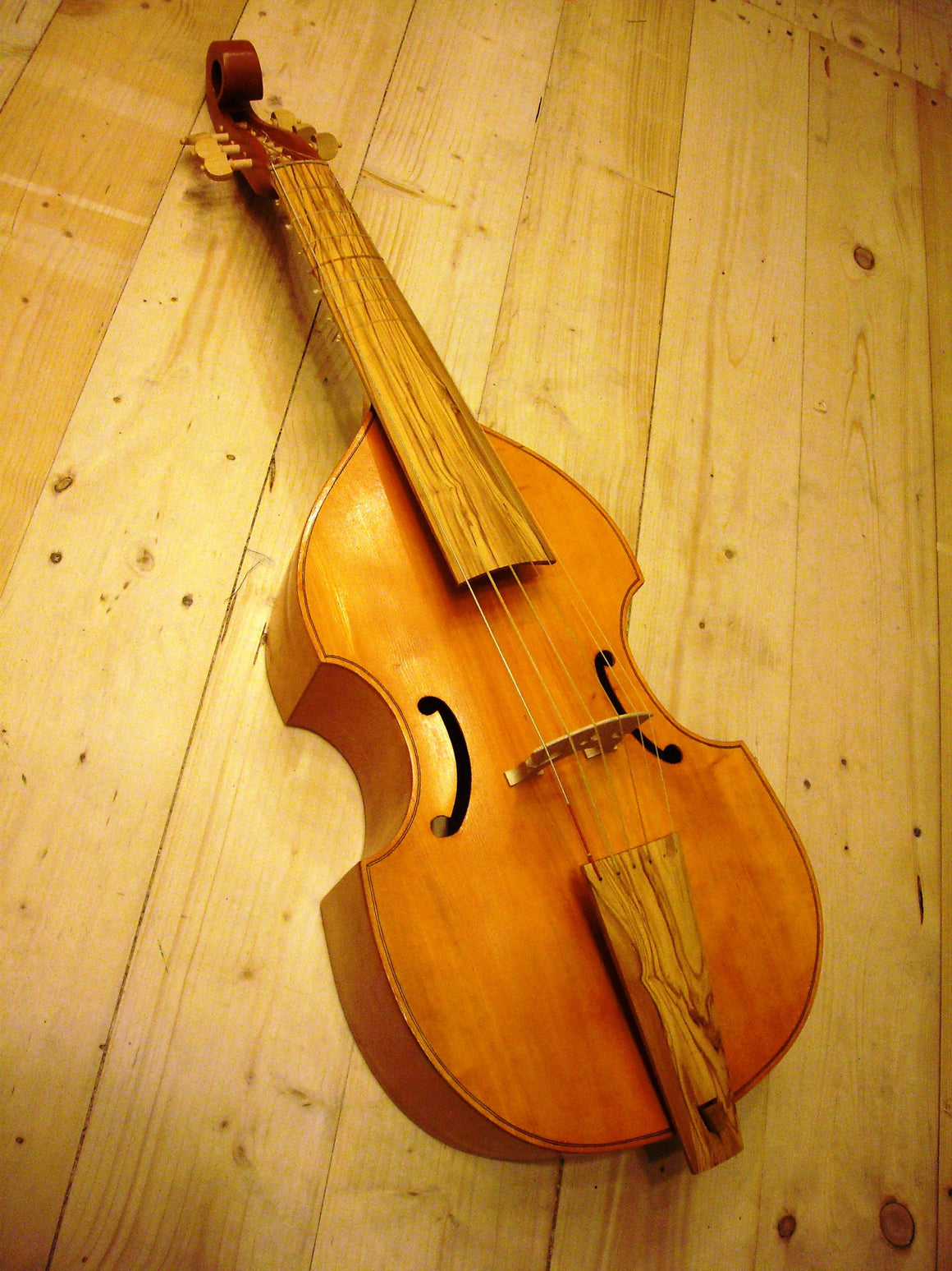 Marco Salerno Luthier
